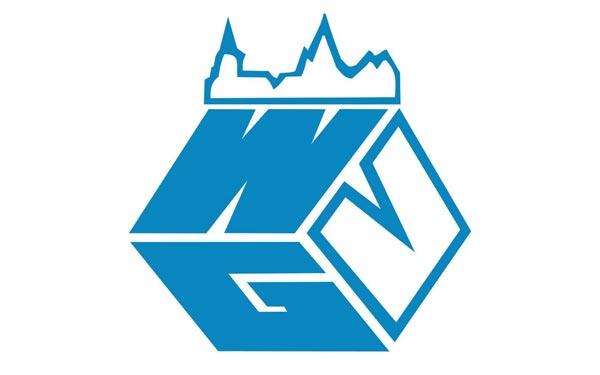 Wirtschafts- und Gewerbeverein Region Schwarzenberg e.V.